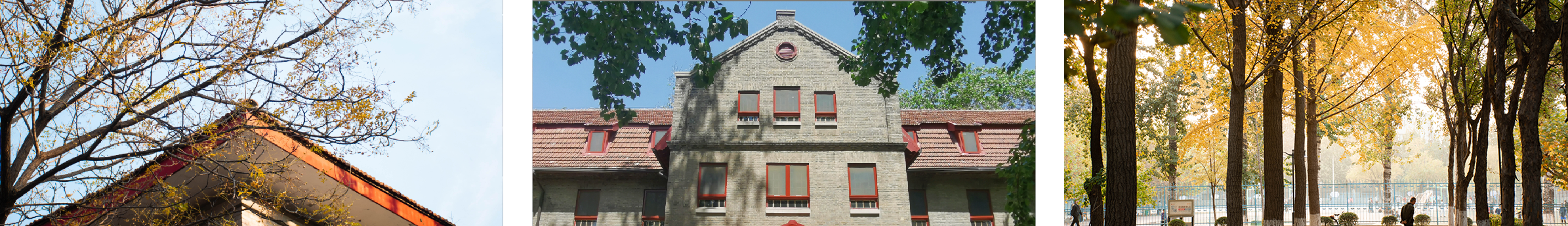 Overview-数学国家高层次人才培养中心